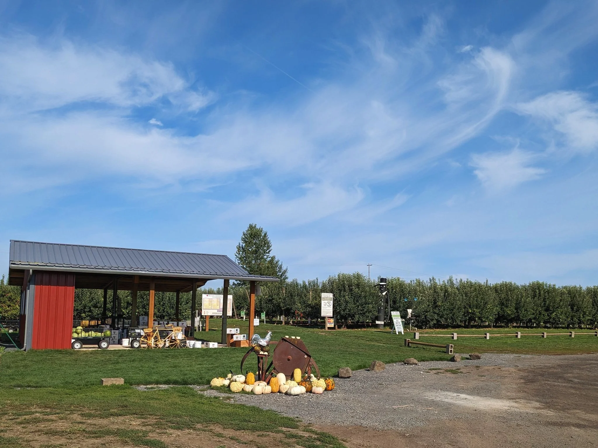 We Have Been Busy Swathing at Night! Huh? What is Swathing? — Beilke ...