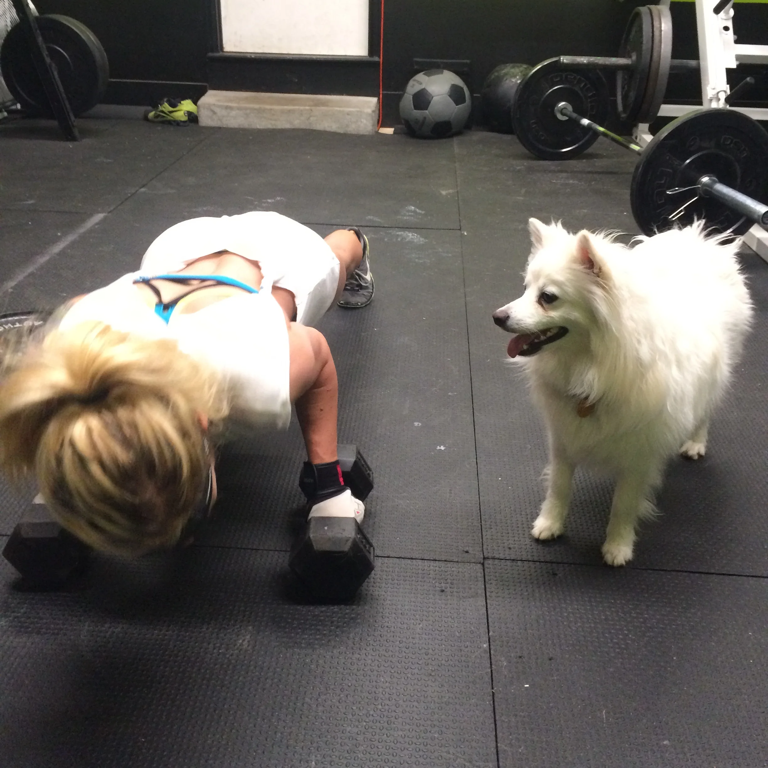 (Re)Gaining Ground: Carissa Johnson on How Setbacks Reveal Strength — GORGO