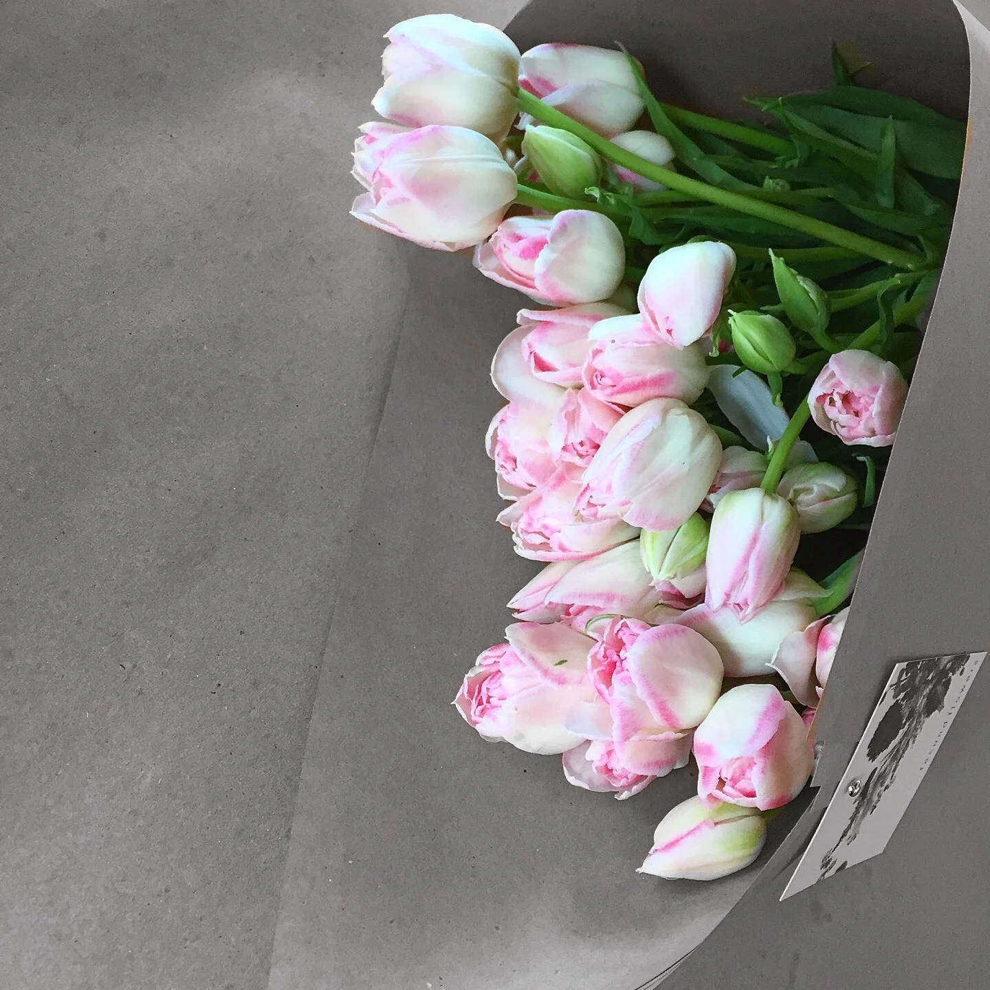 fecund flowers
