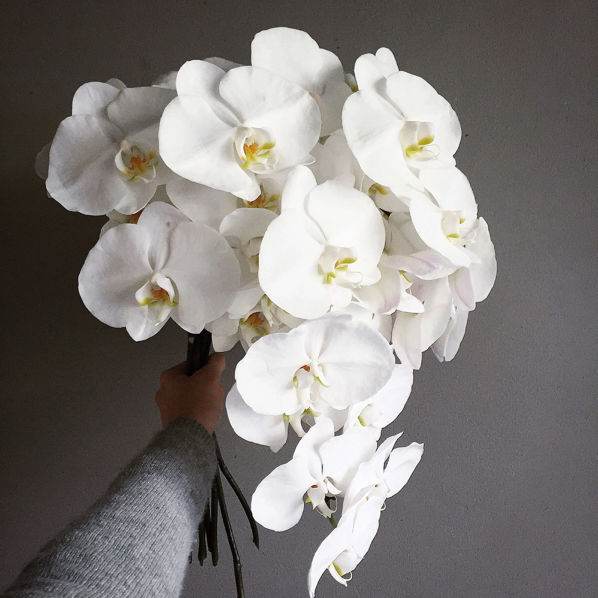 fecund flowers