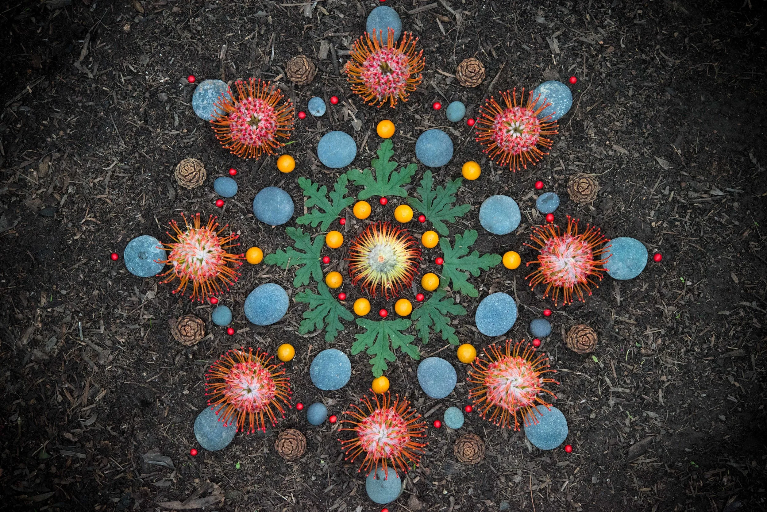 Morning Altars | Altars