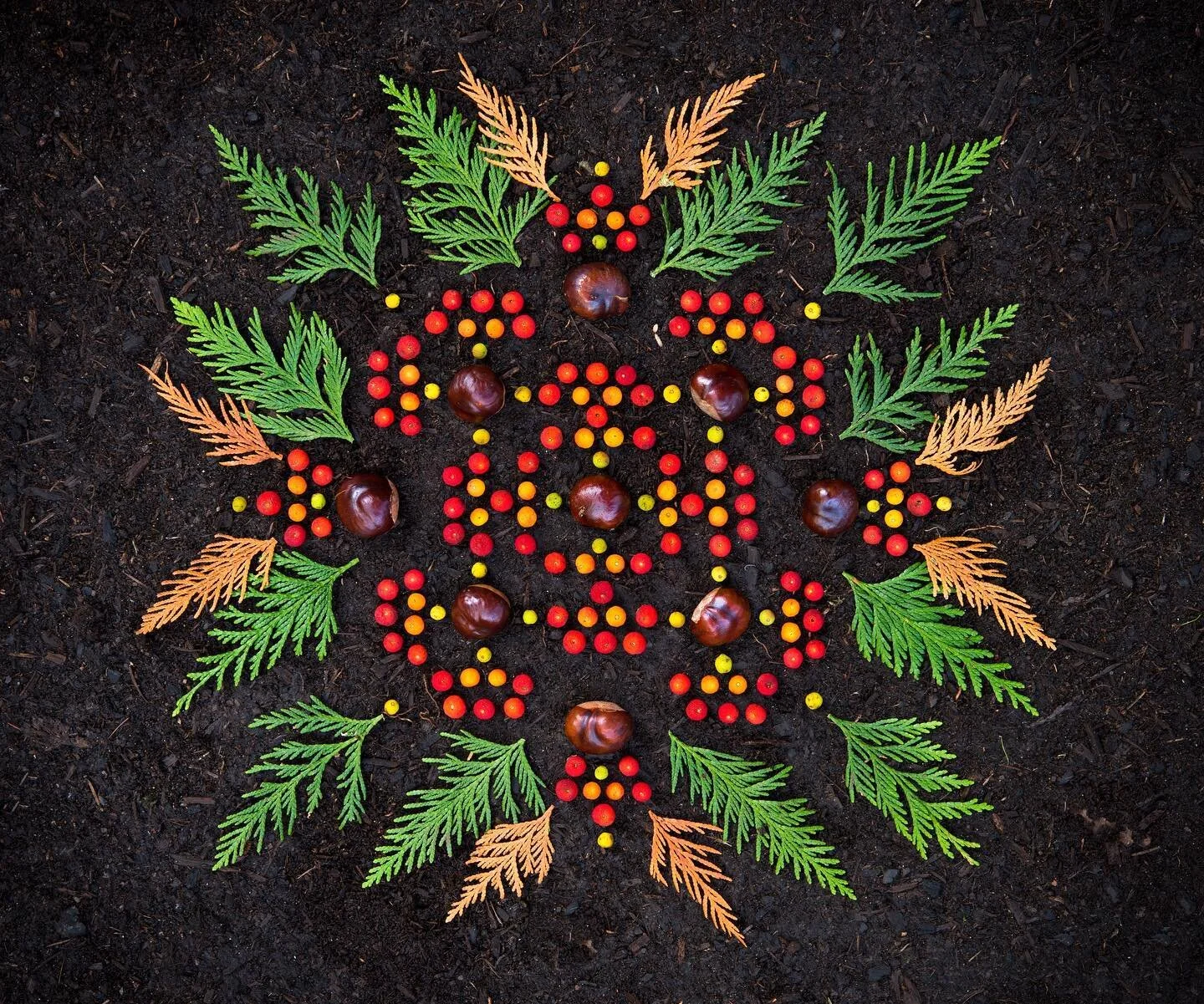 Morning Altars | Impermanent Earth Art