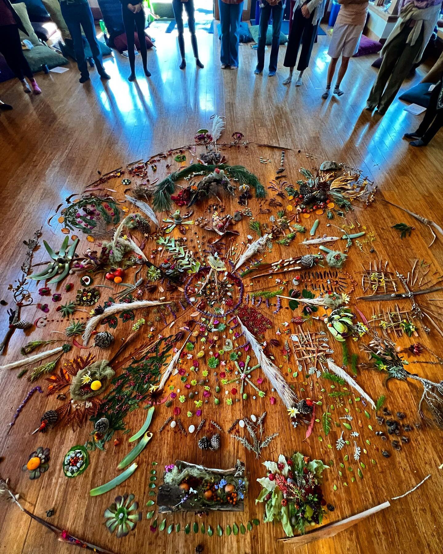 Morning Altars | The Morning Altars Coloring Book