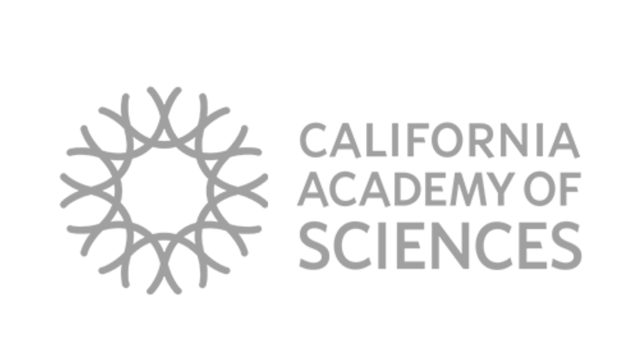 Morning Altars Teaching Logo