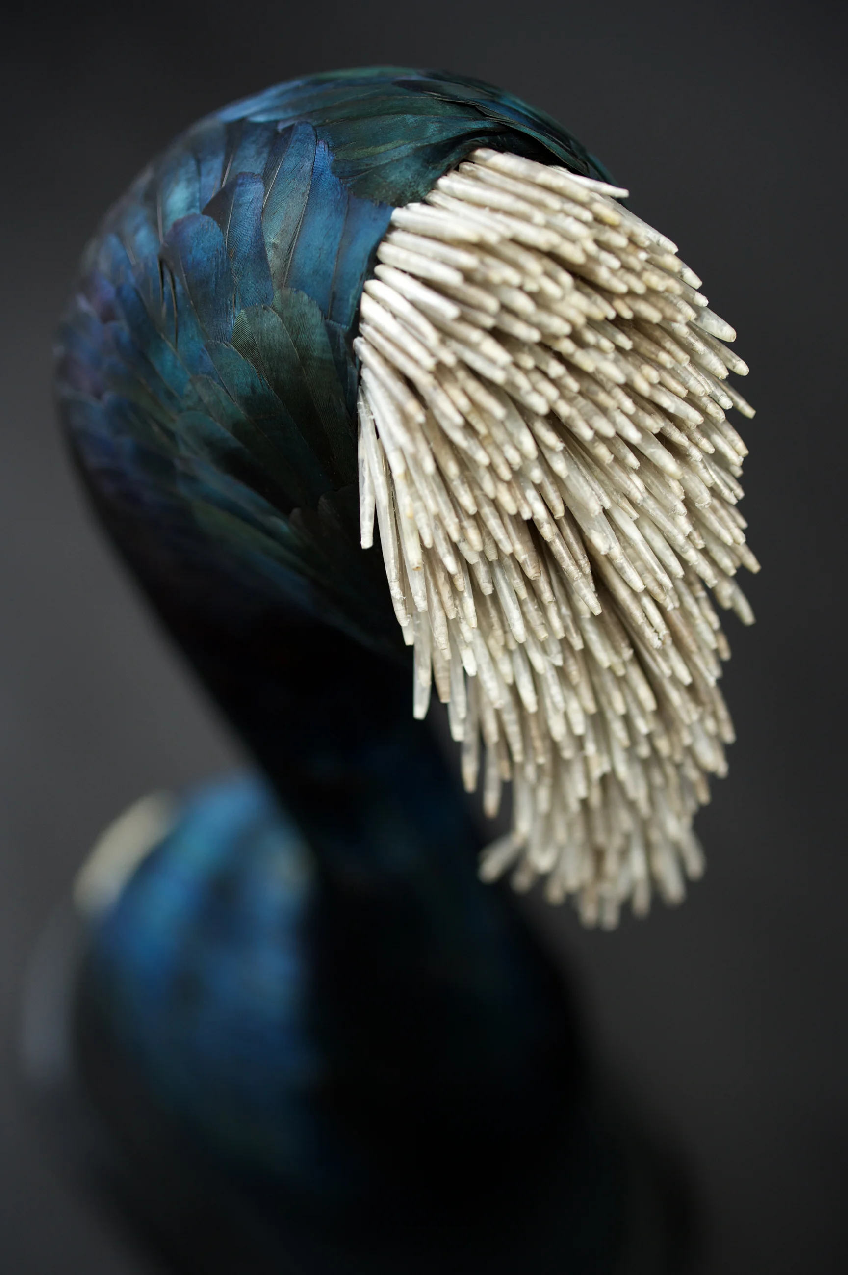 Sculpture — KATE MccGWIRE