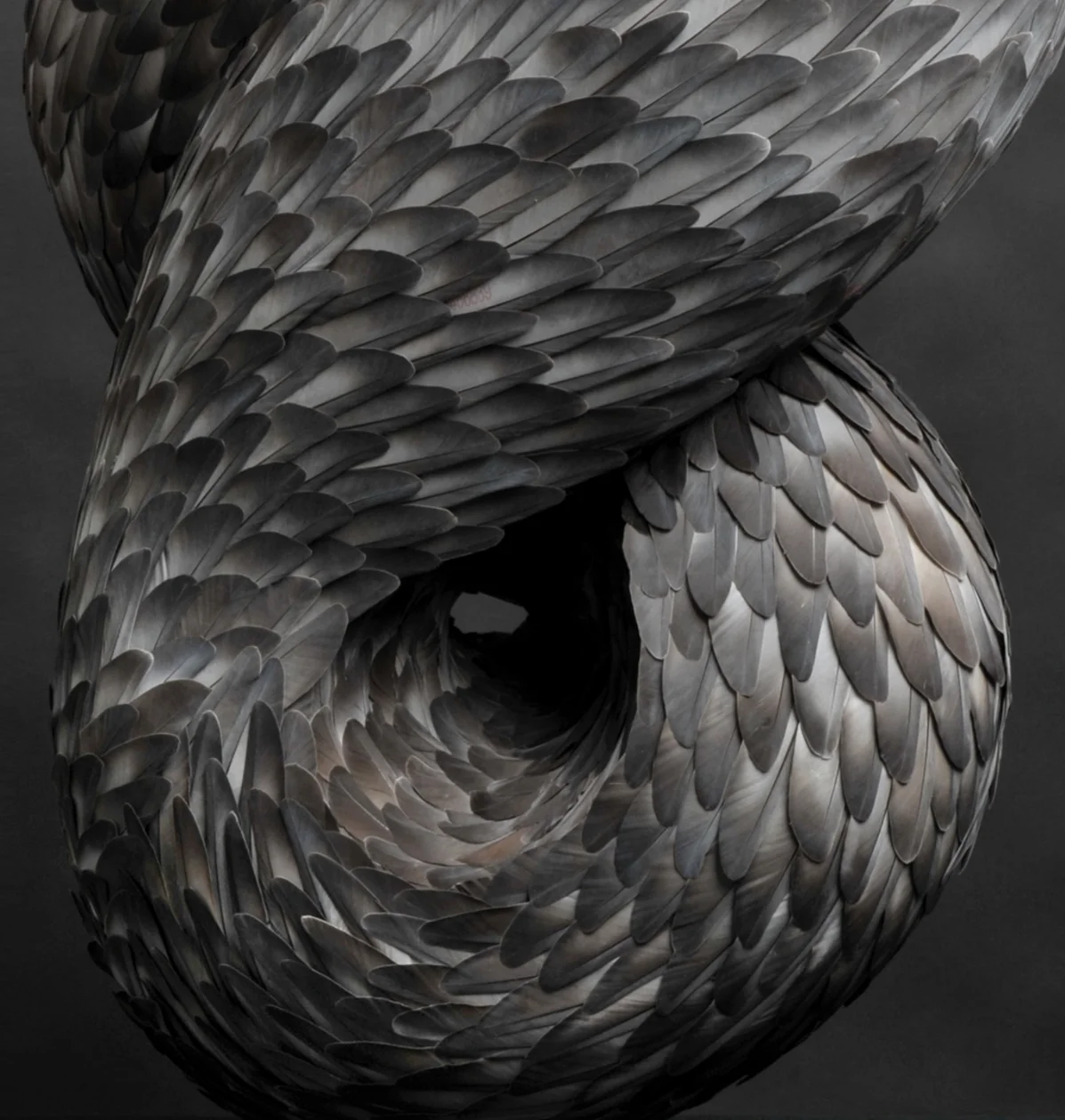 Sculpture — KATE MccGWIRE