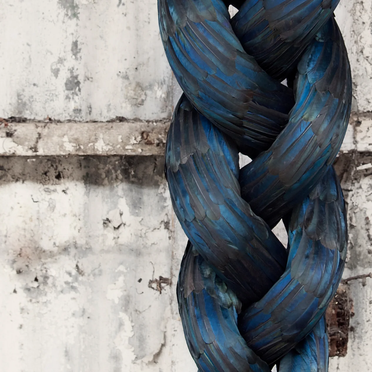 Installations — KATE MccGWIRE