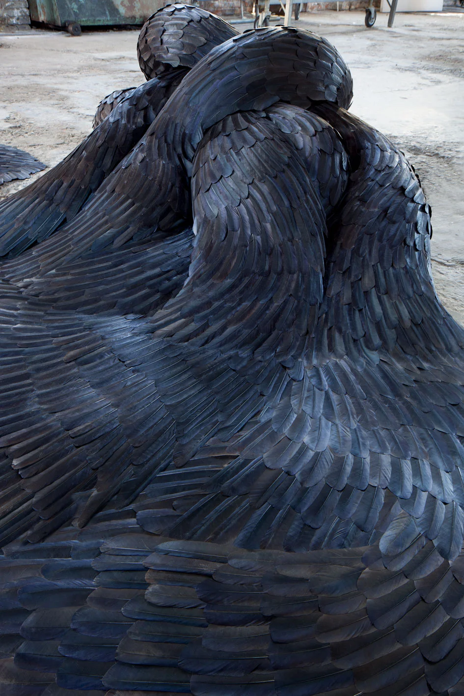 Installations — KATE MccGWIRE