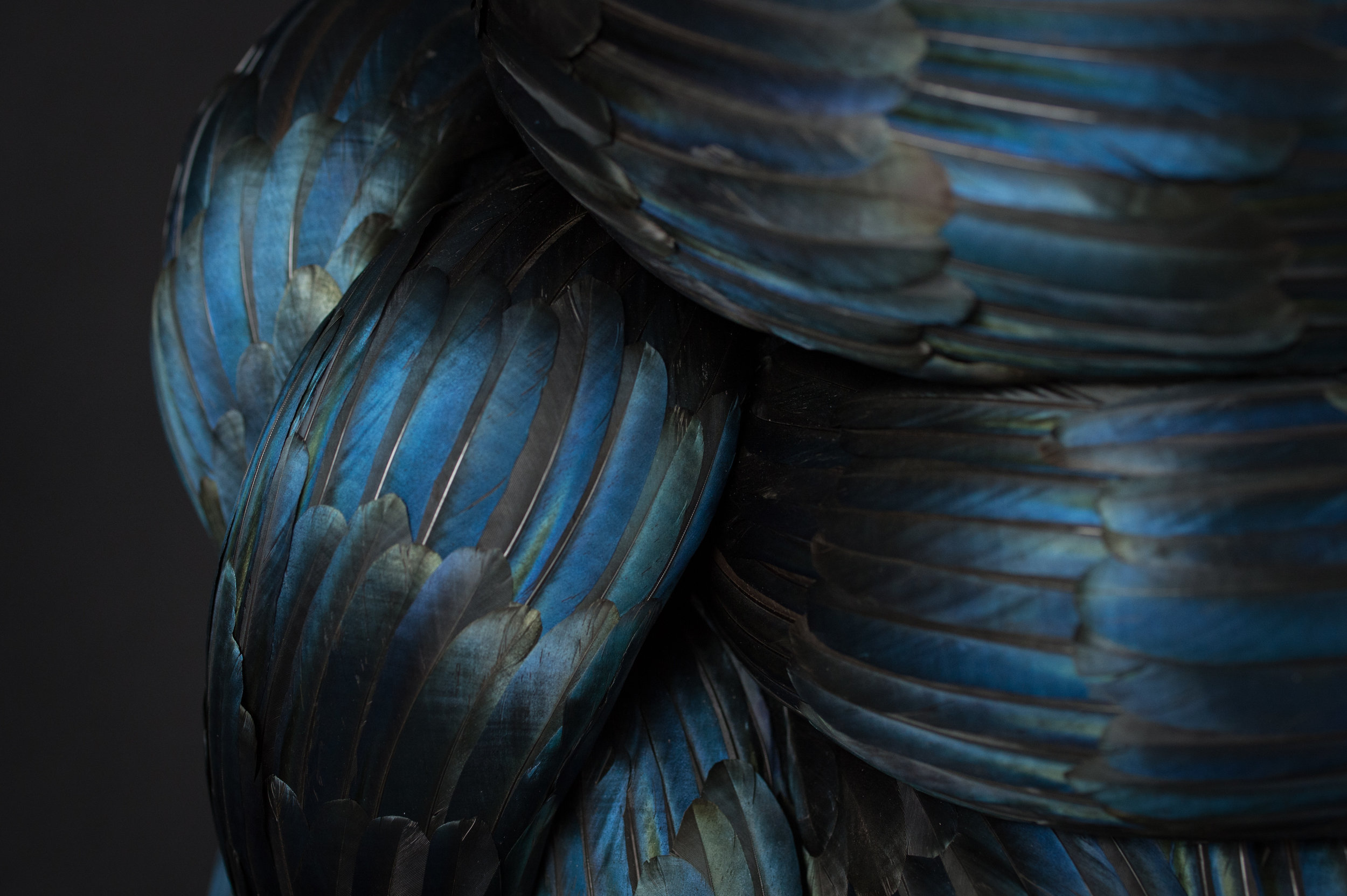 Exhibitions — KATE MccGWIRE