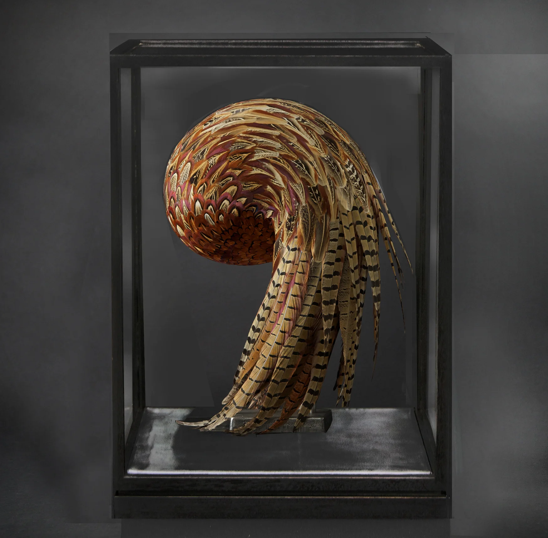 Journal — KATE MccGWIRE