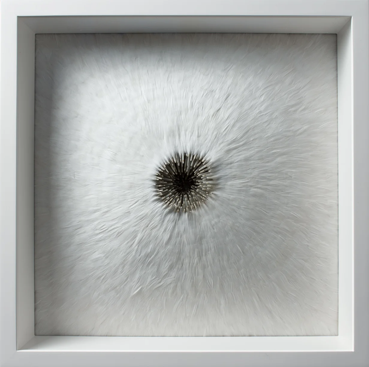 Journal — KATE MccGWIRE