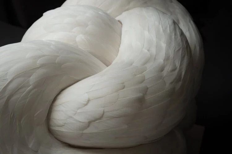 Sculpture — KATE MccGWIRE