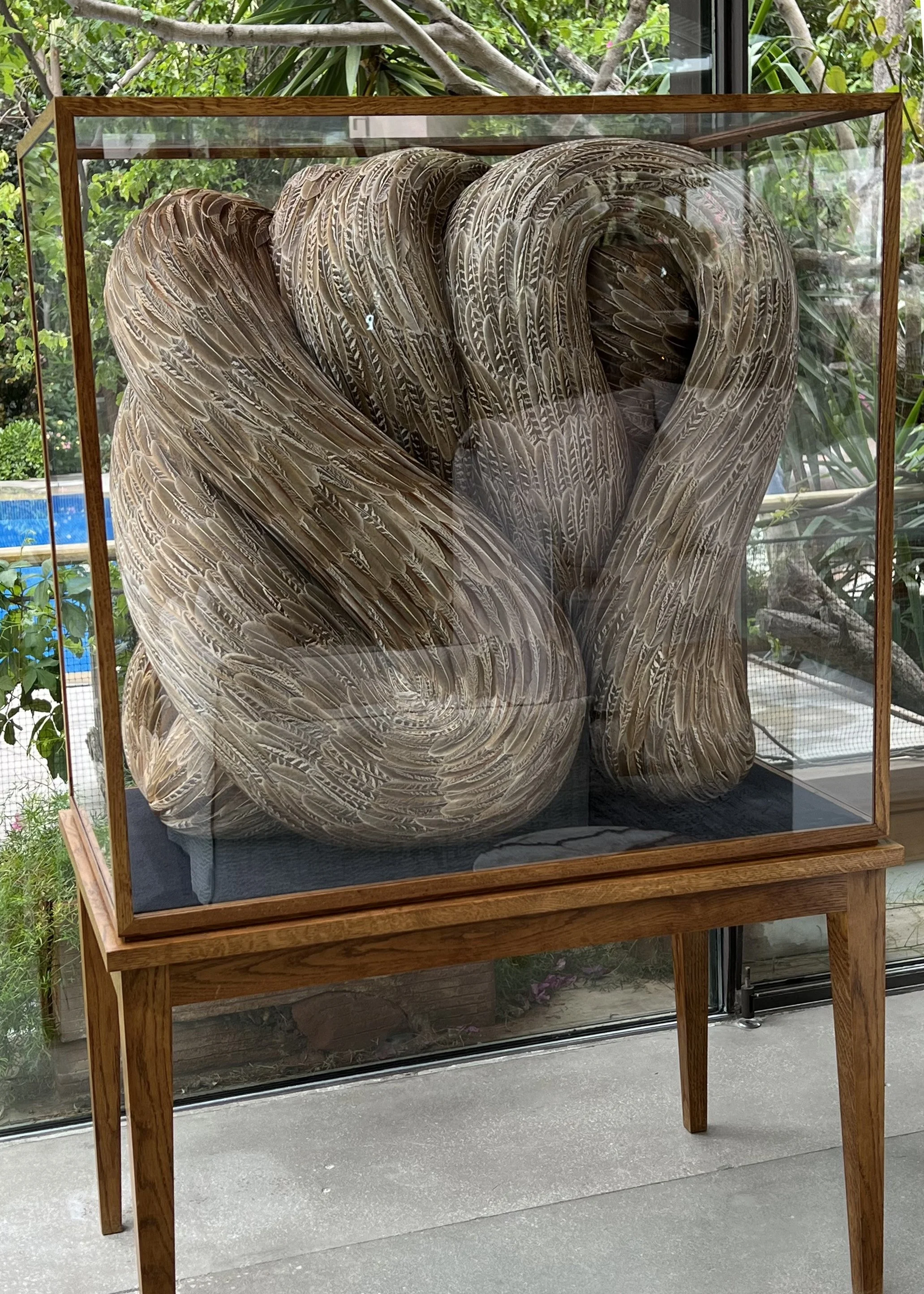 Journal — KATE MccGWIRE