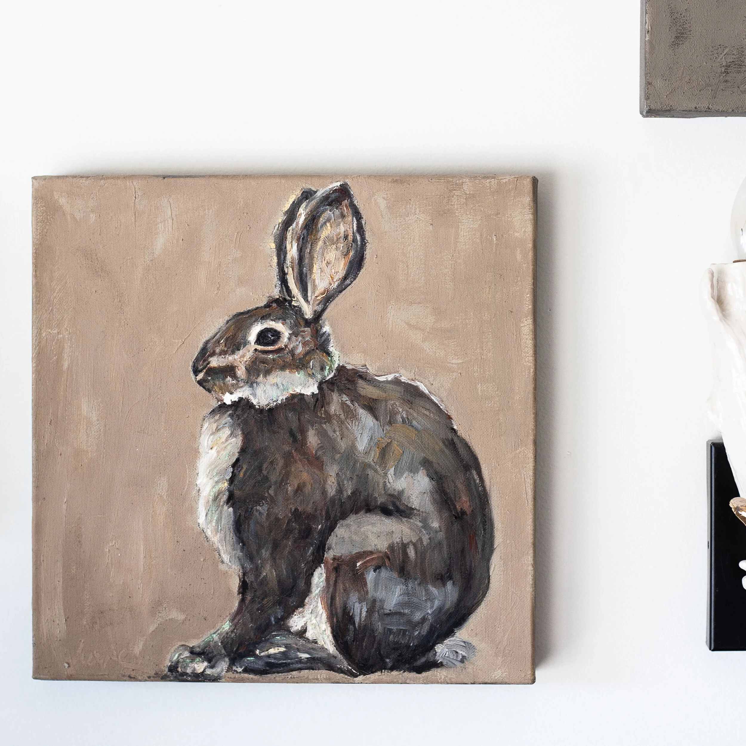 Rabbit Oil Paintings