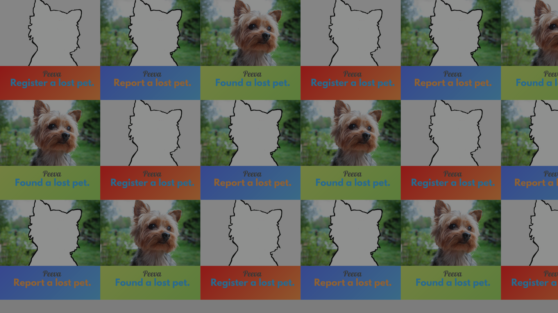 How Do I Report A Lost Dog