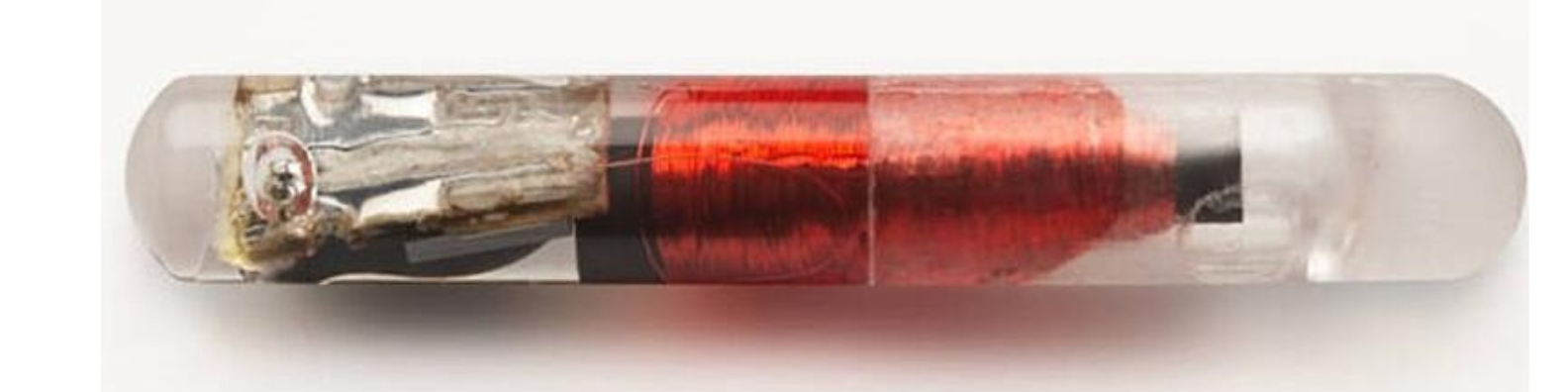 Peeva - Blog - Microchips have no privacy risks or health risks