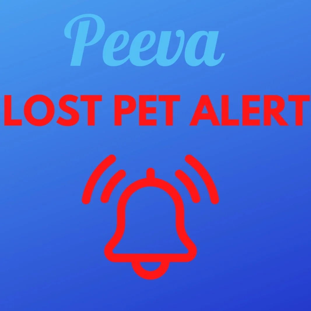 Peeva - Report a lost pet
