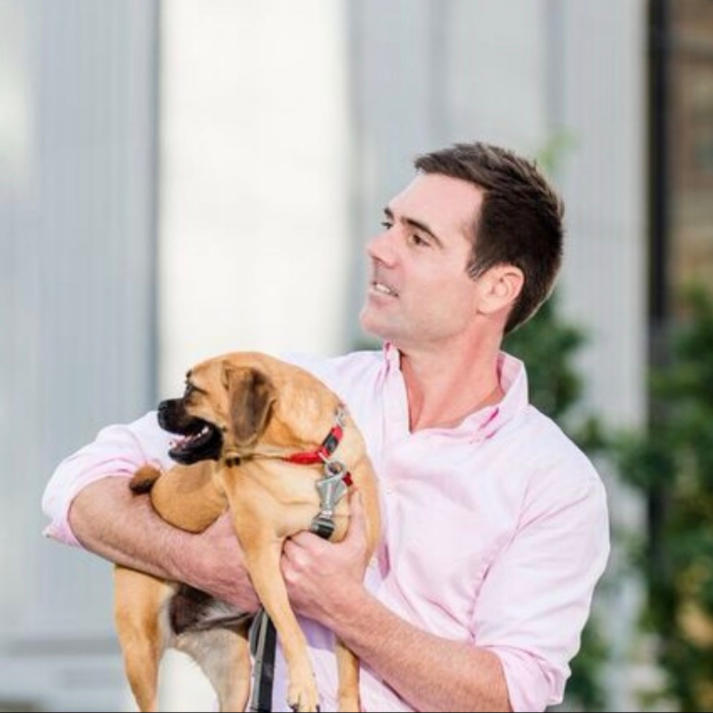 Peeva - Blog - Peeva Survey Results; US Missing Pet and Euthanasia ...