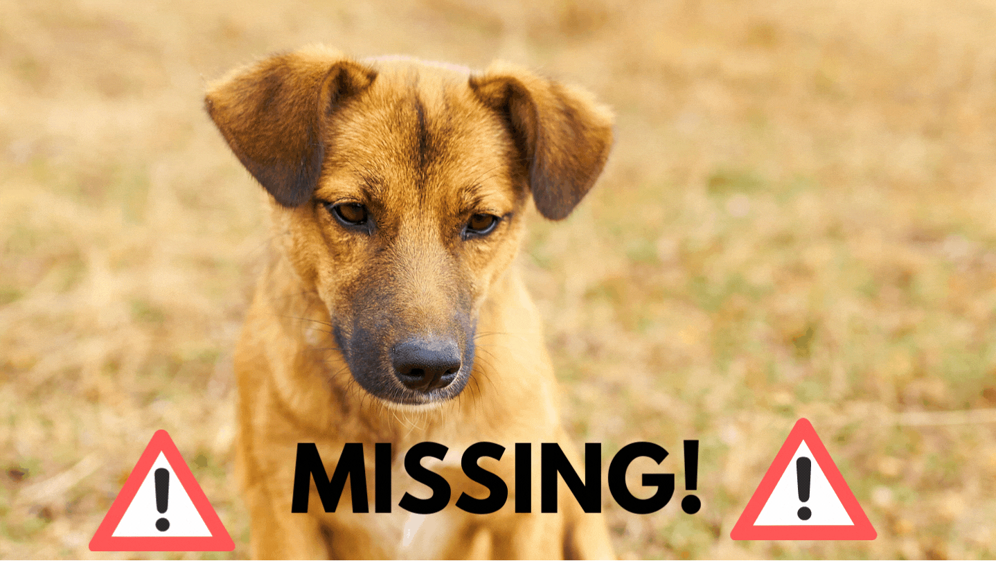 Peeva - With millions of microchips throughout North America enrolled ...