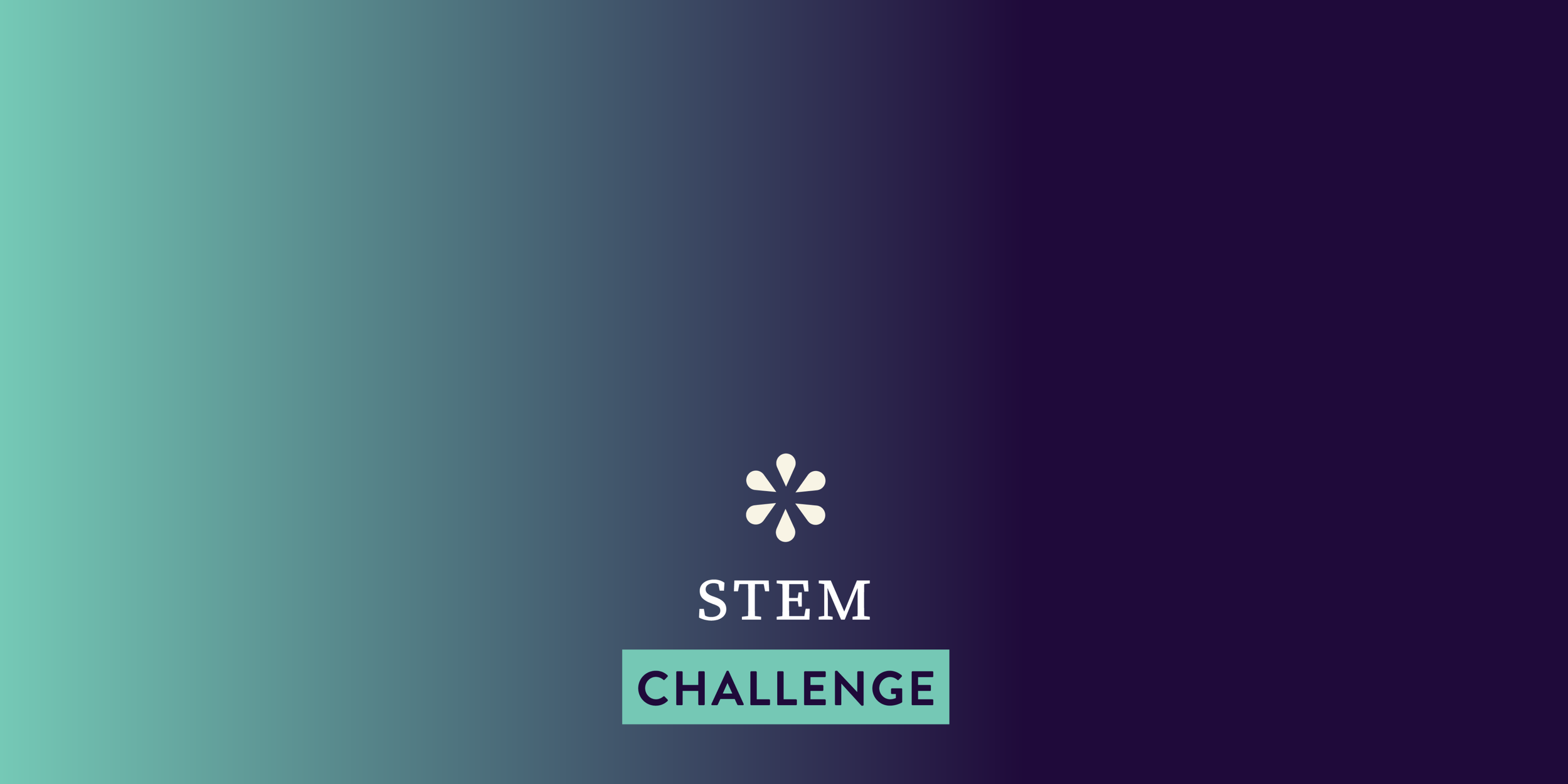 Mentor Matching Engine