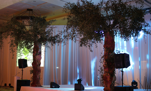 Luxury Floral & Event Design in Orlando | Raining Roses Productions