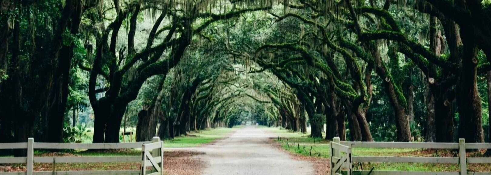 Terry Seely | Fiduciary Financial Advisor In Michigan — Fiduciary Financial