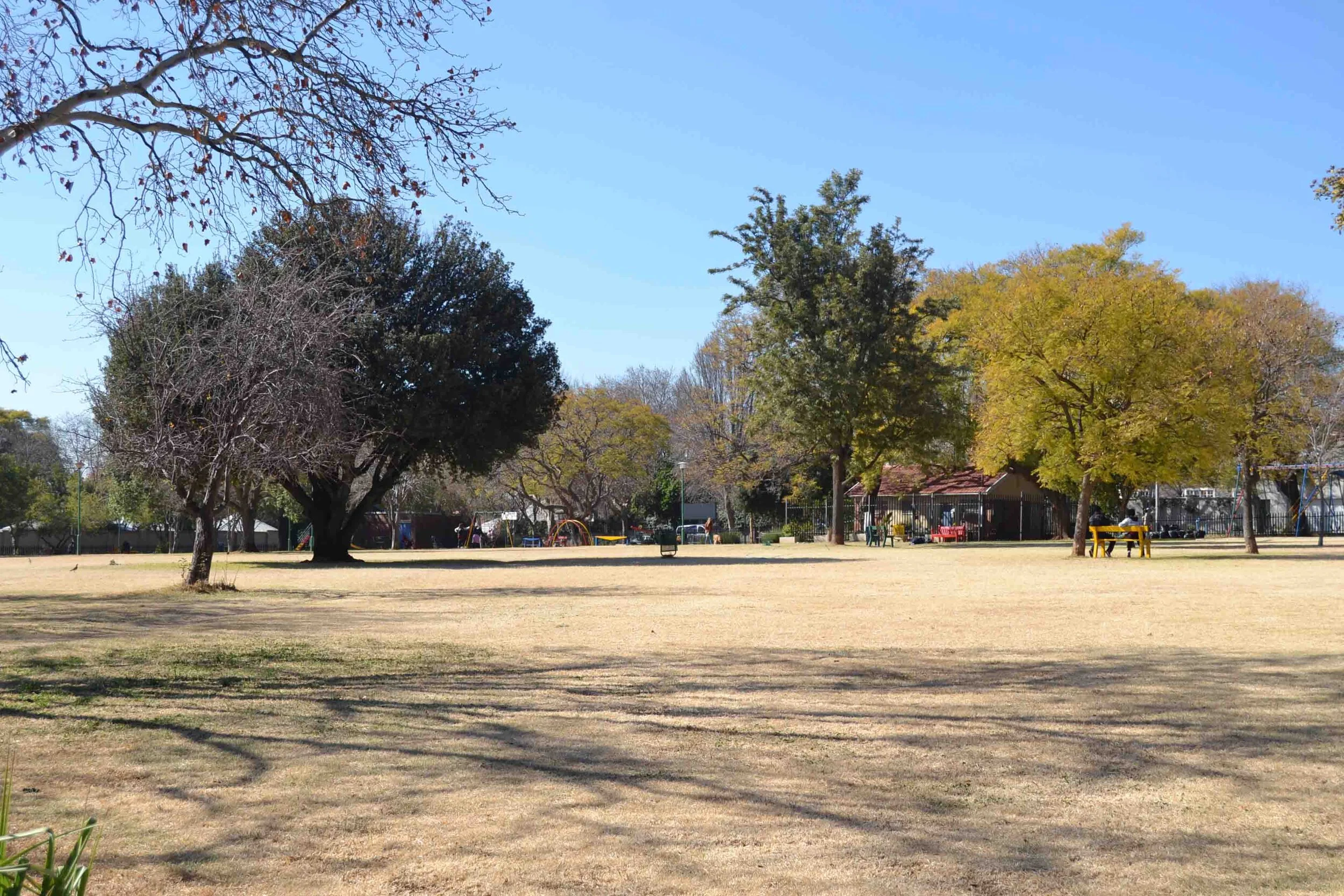 What makes George Hay Park a Successful Community Park? — Sprout Landscapes