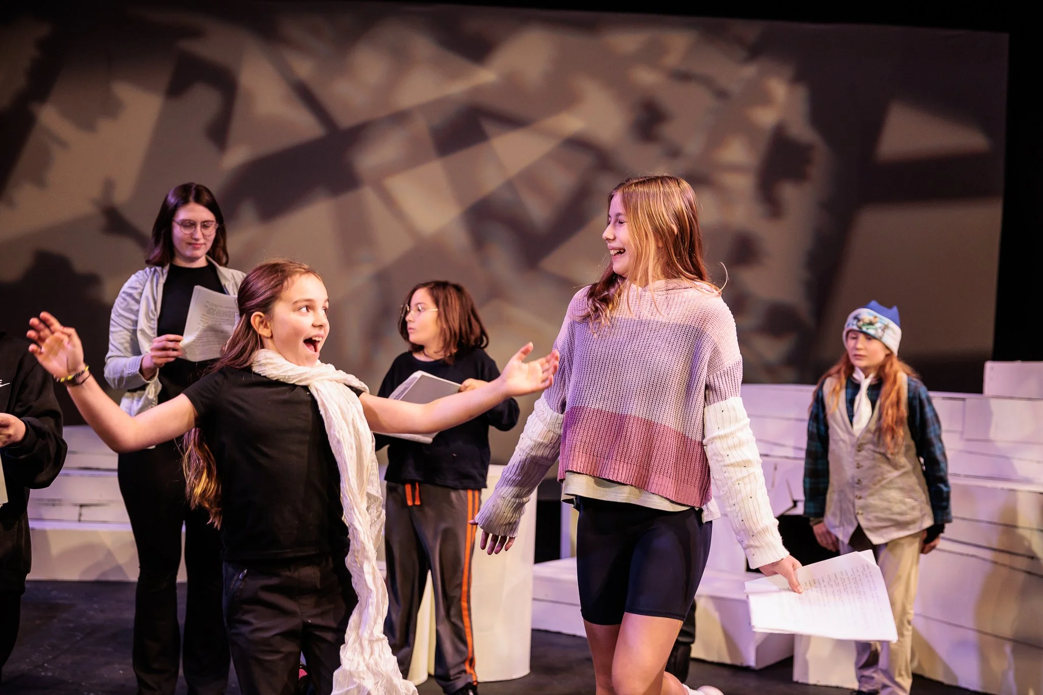 THE THEATER PROJECT