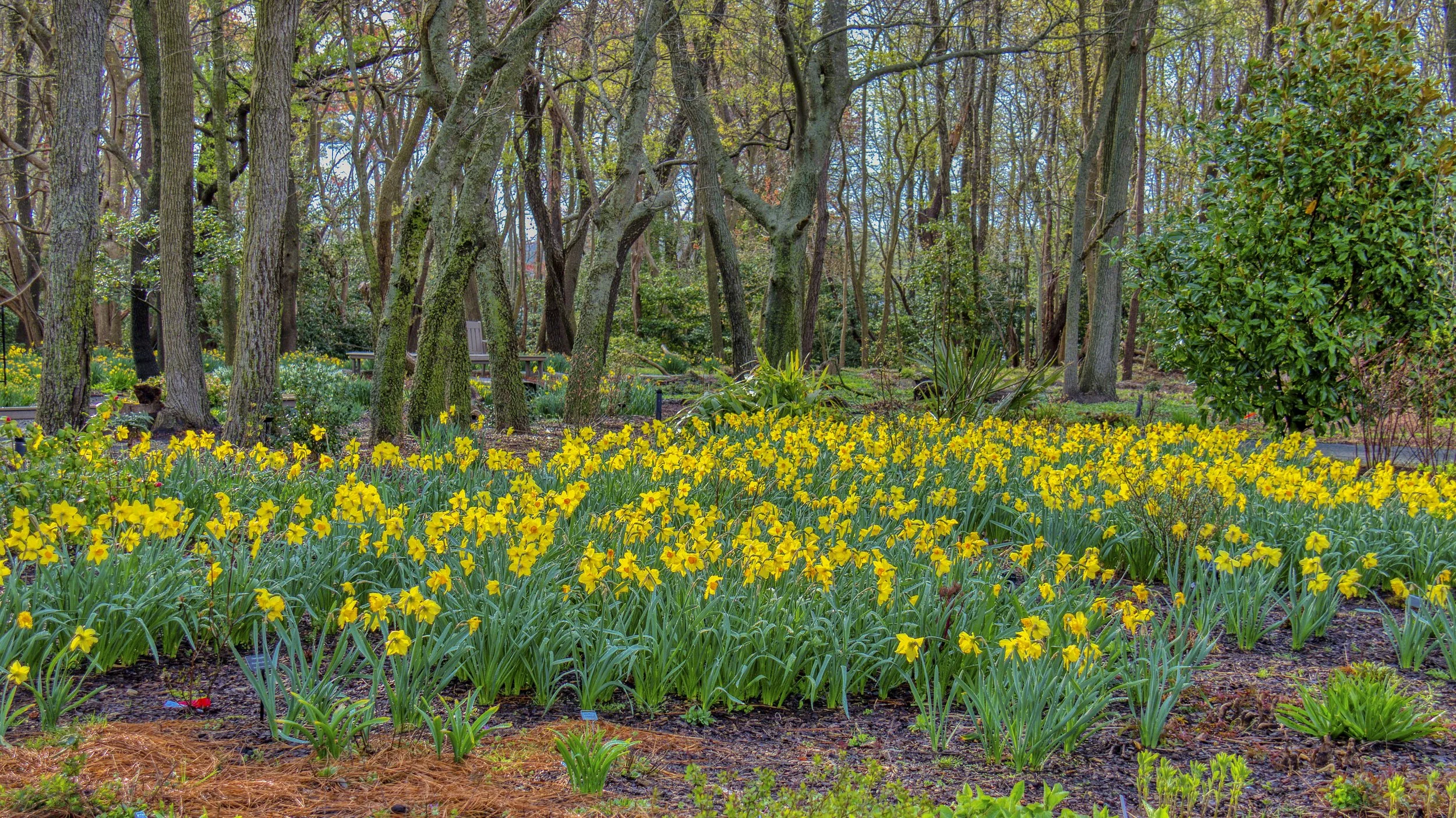 In the News — Delaware Botanic Gardens