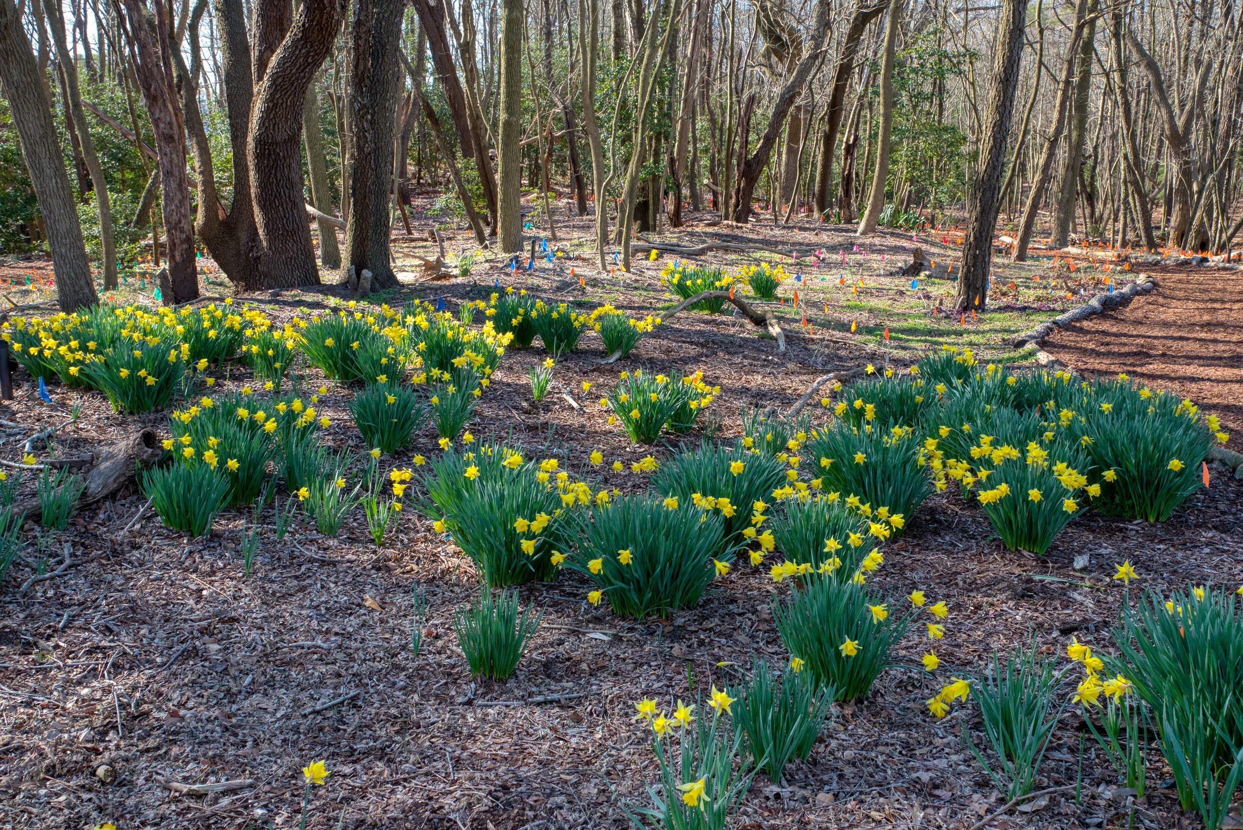 Our Gardens — Delaware Botanic Gardens