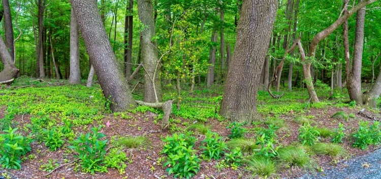Our Story — Delaware Botanic Gardens