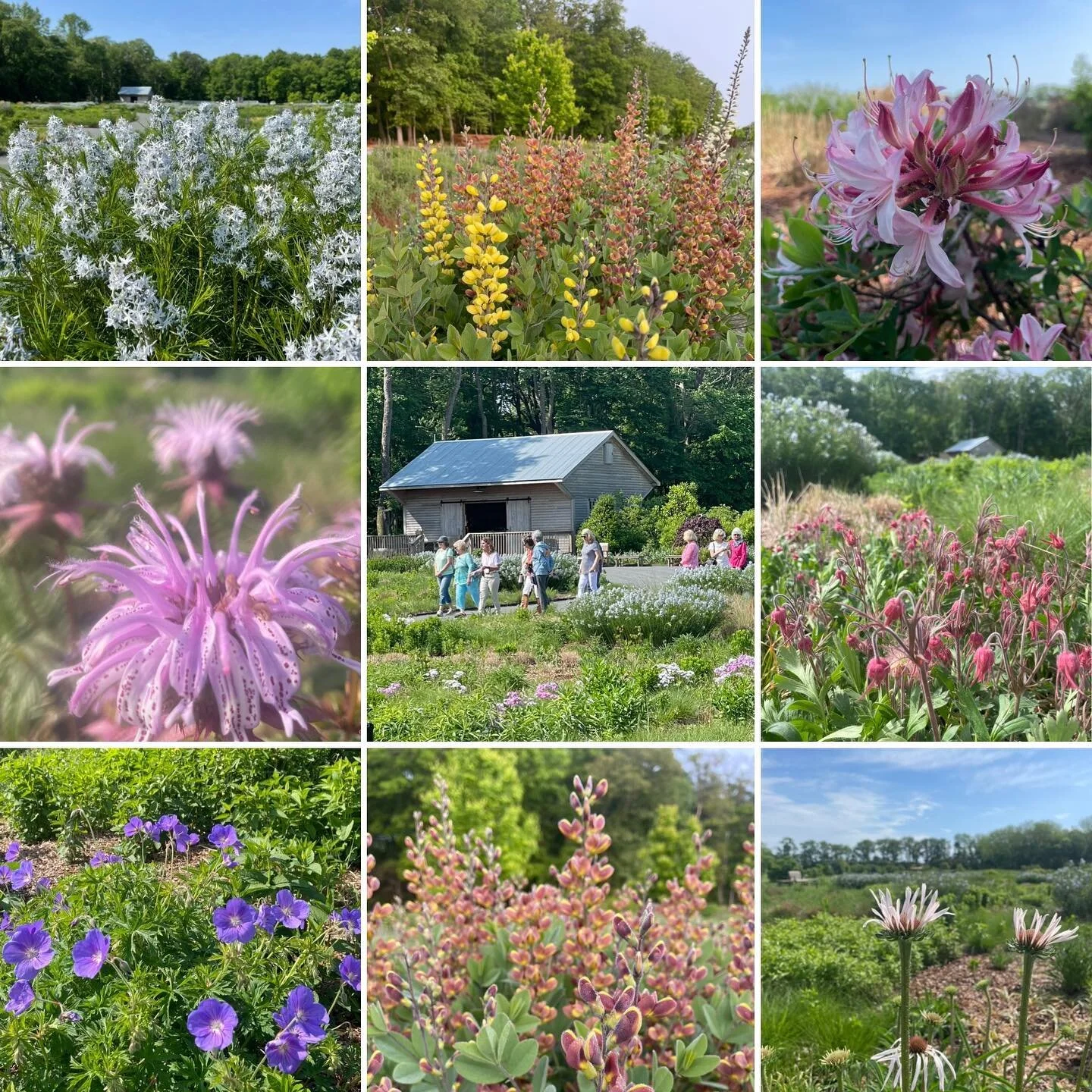 Delaware Botanic Gardens