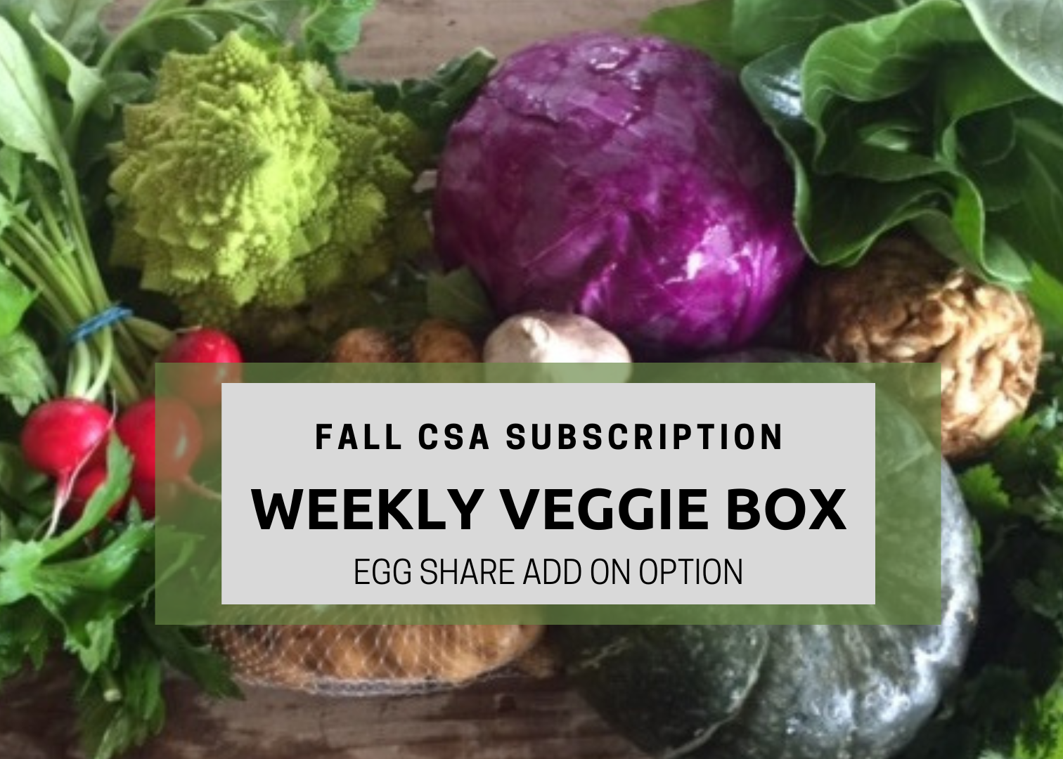 Shop CSA — Snoqualmie Valley Farmers Cooperative