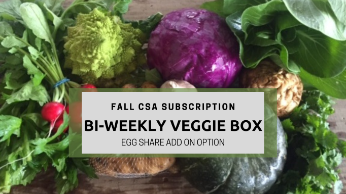 Shop CSA — Snoqualmie Valley Farmers Cooperative