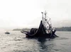 Department of Fisheries and Oceans (DFO) — Fish Safe