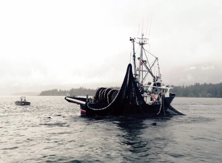 Department of Fisheries and Oceans (DFO) — Fish Safe
