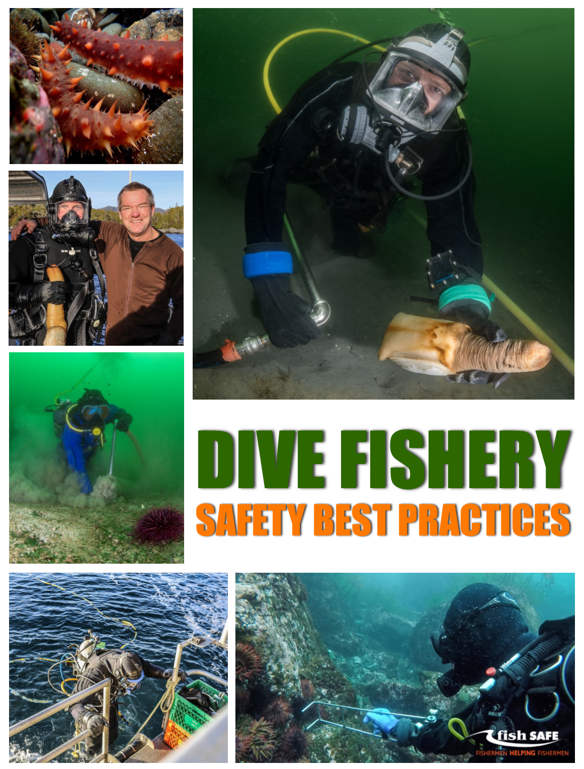 Dive Fishery Safety Best Practices — Fish Safe