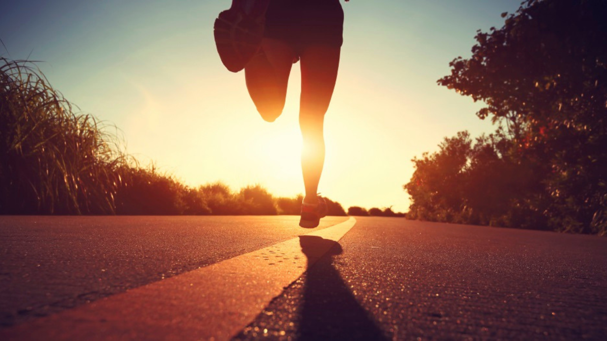 Washington Cathedral