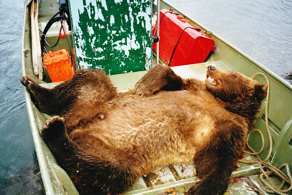 What Guides Never Want To See!!My Hunting StoriesHunting Adventures ...