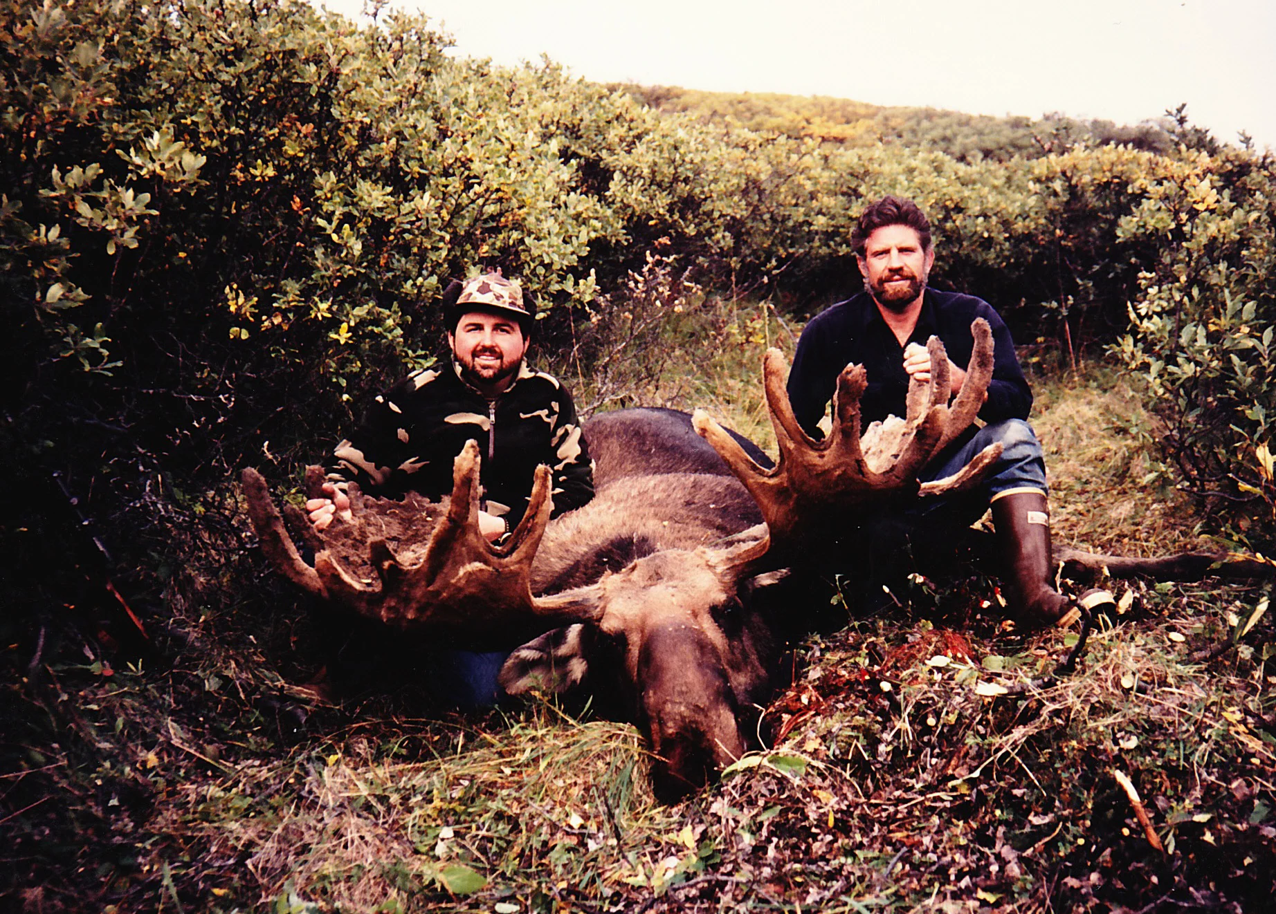 AAA's Big MooseMy Hunting StoriesHunting Adventures with Roger Morris