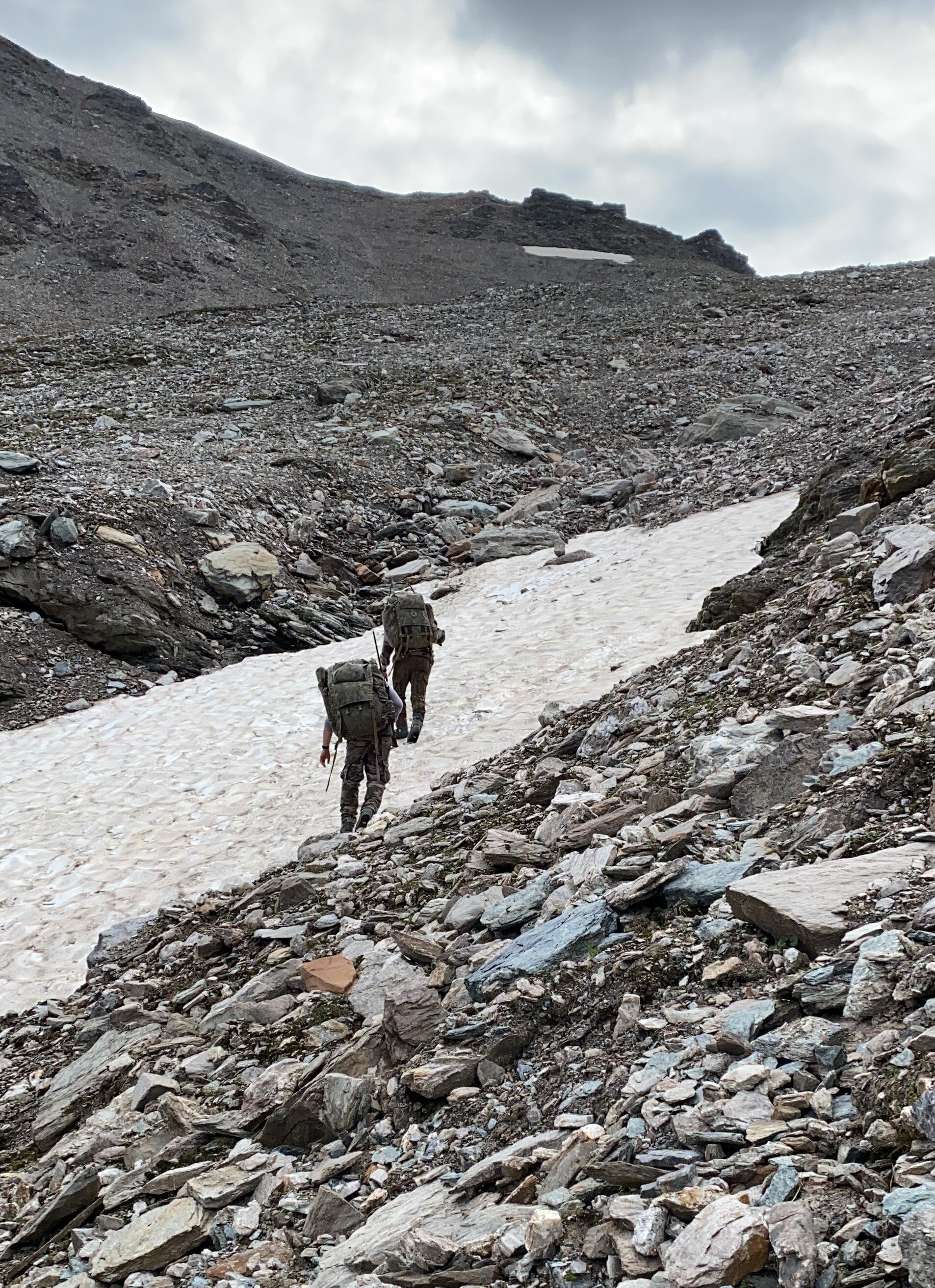 The Old Gray Mule Ain't What He Used To BeMy Hunting StoriesHunting ...