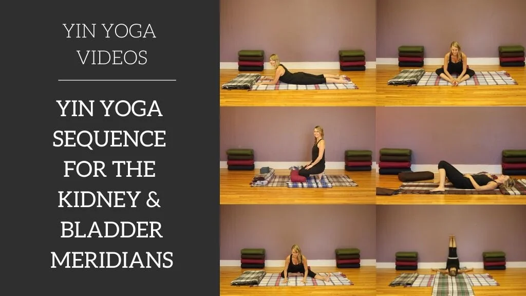 Chinese Medicine Meridians | Jennifer Raye | Medicine and Movement