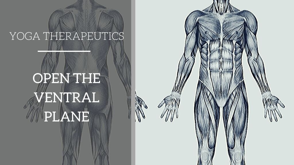 Open the Ventral Plane | Jennifer Raye | Medicine and Movement