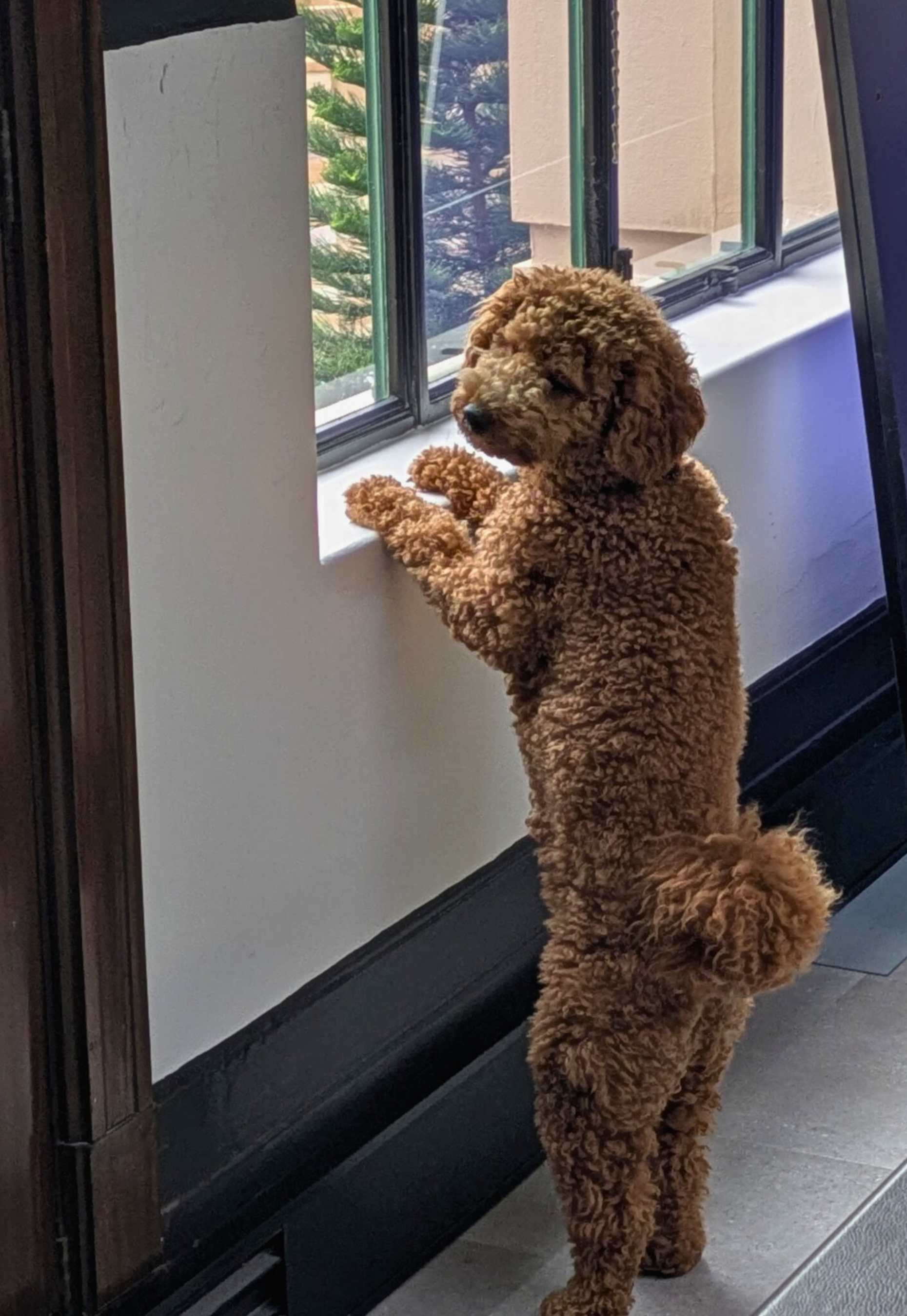 Job Openings at BSE | January 2026 — Building Services Engineers