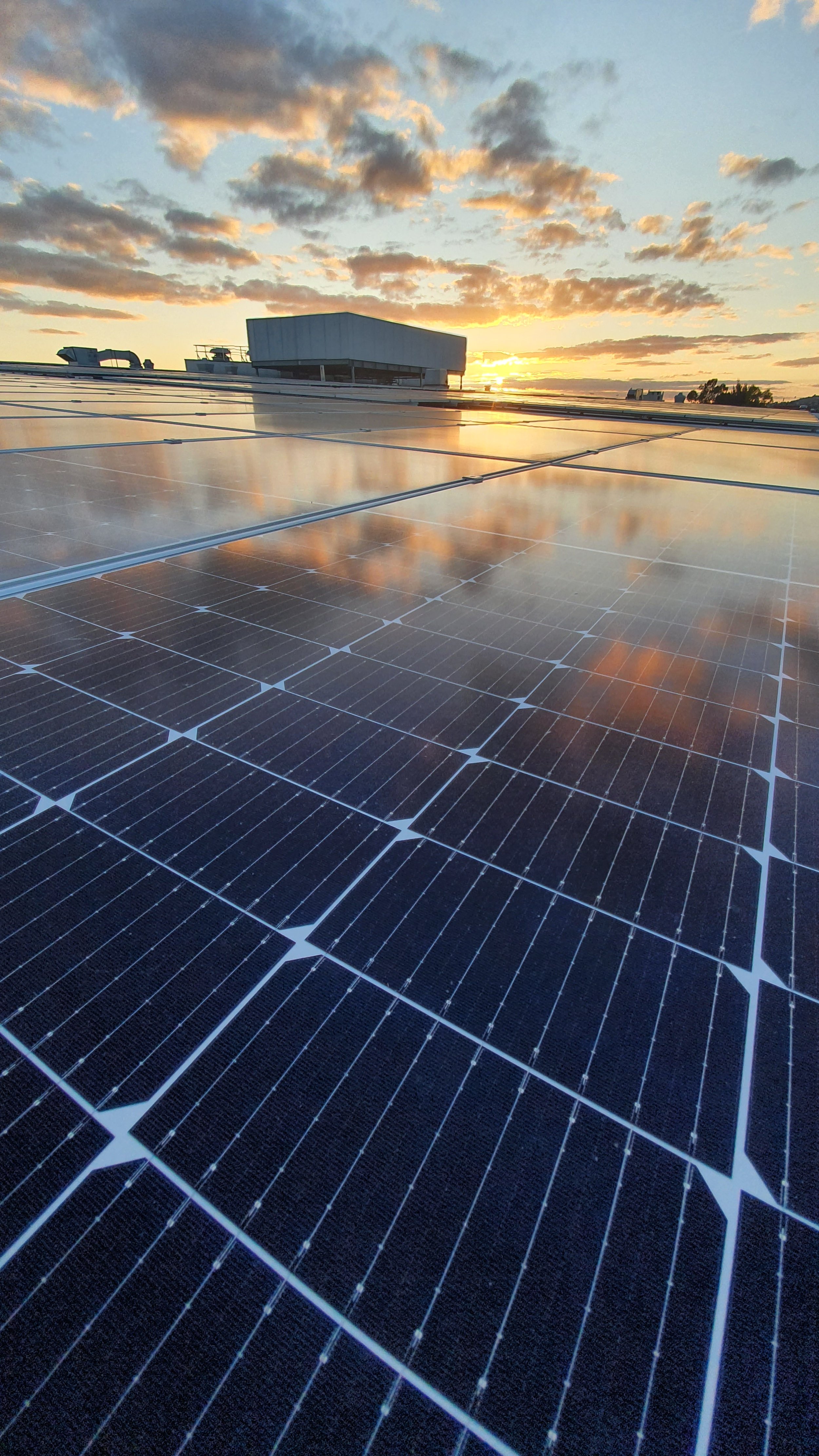 Woolworths — Building Services Engineers