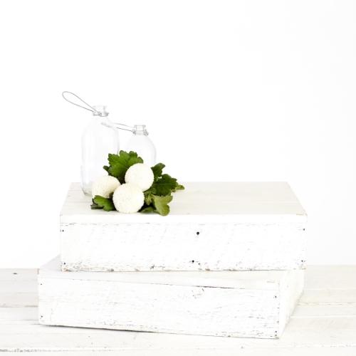 Hire — SYDNEY WEDDING PLANNER | Audrey & Angus Weddings and Events