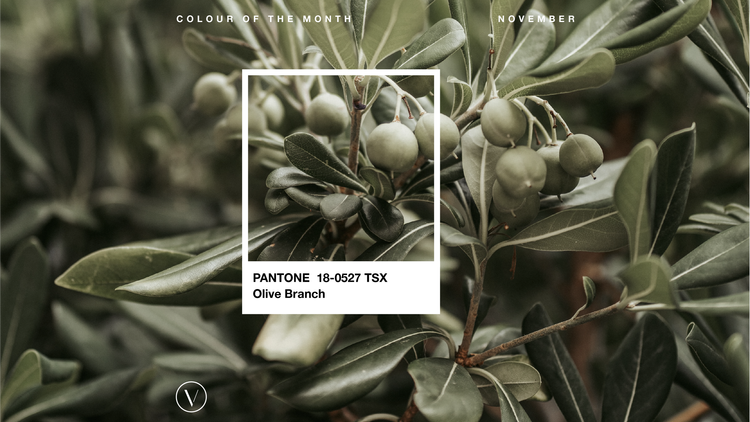 Olive Branch – Colour of the Month for November | Visuable®️