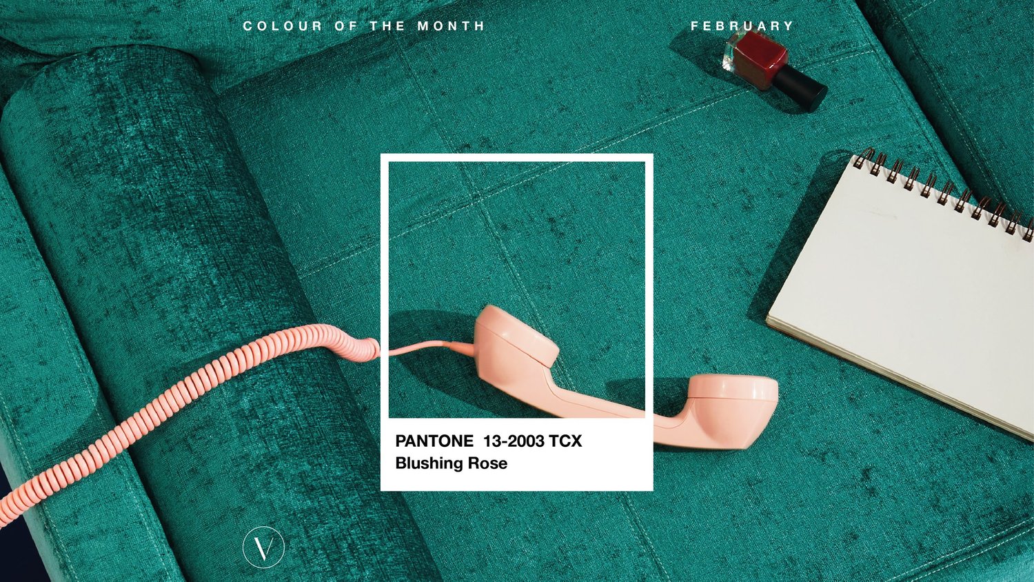 Blushing Rose, Colour of the Month – February | Visuable®️