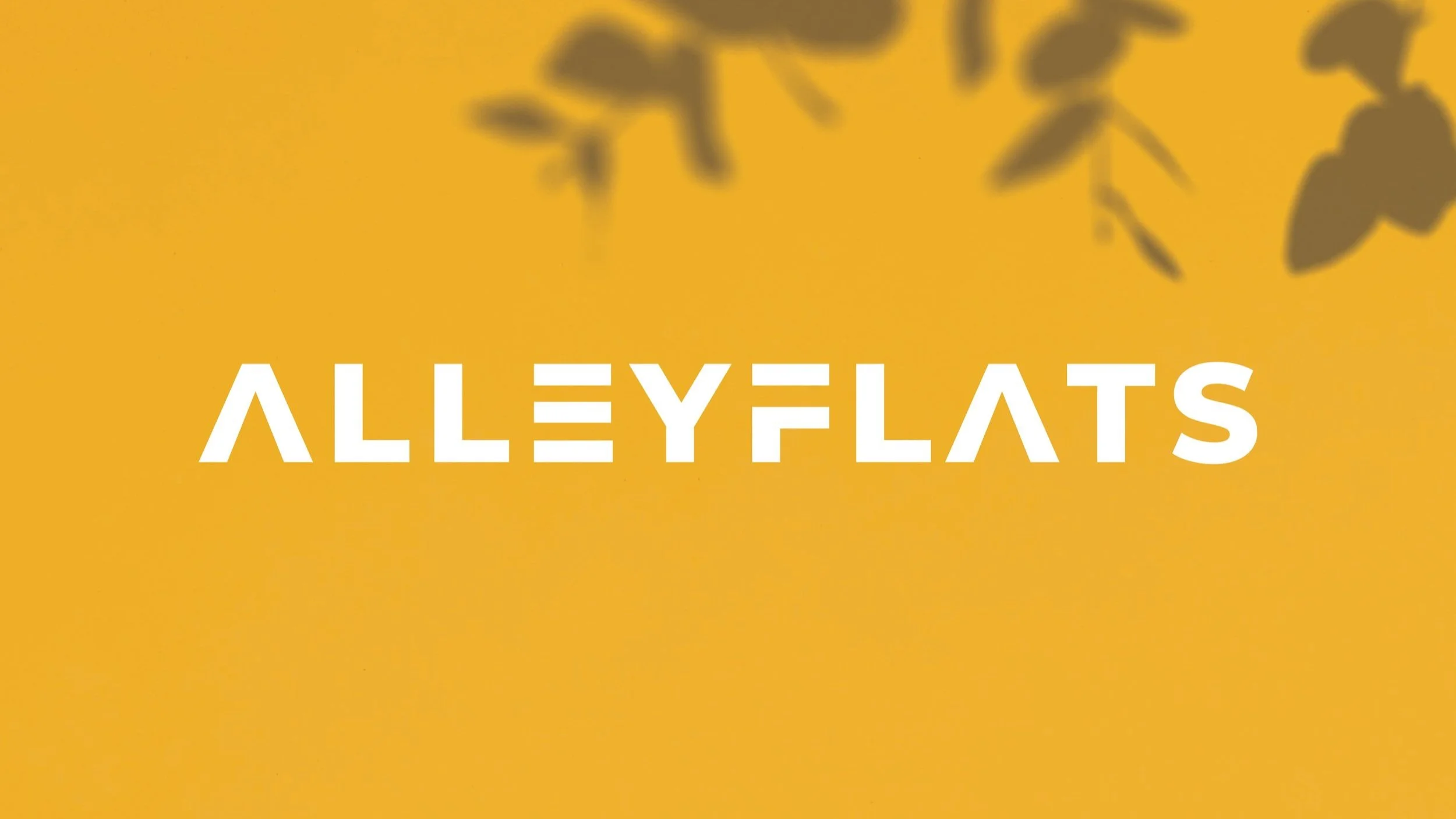 Brand Identity Design for Interior Design Firm in Colorado