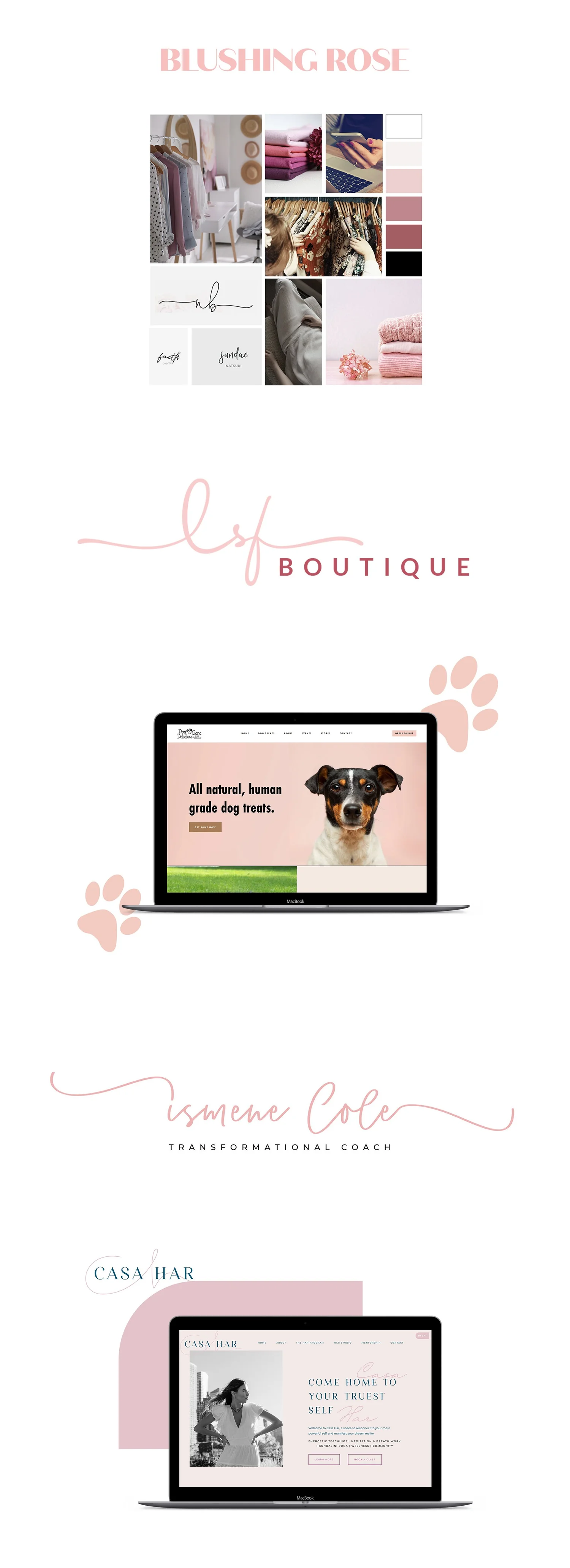 Blushing Rose, Colour of the Month – February | Visuable®️